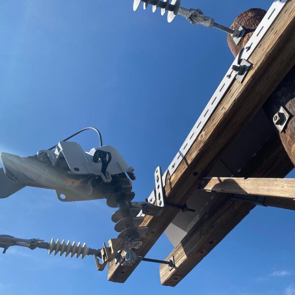 How Cutout Guards Protect Against Power Outages - Learn More